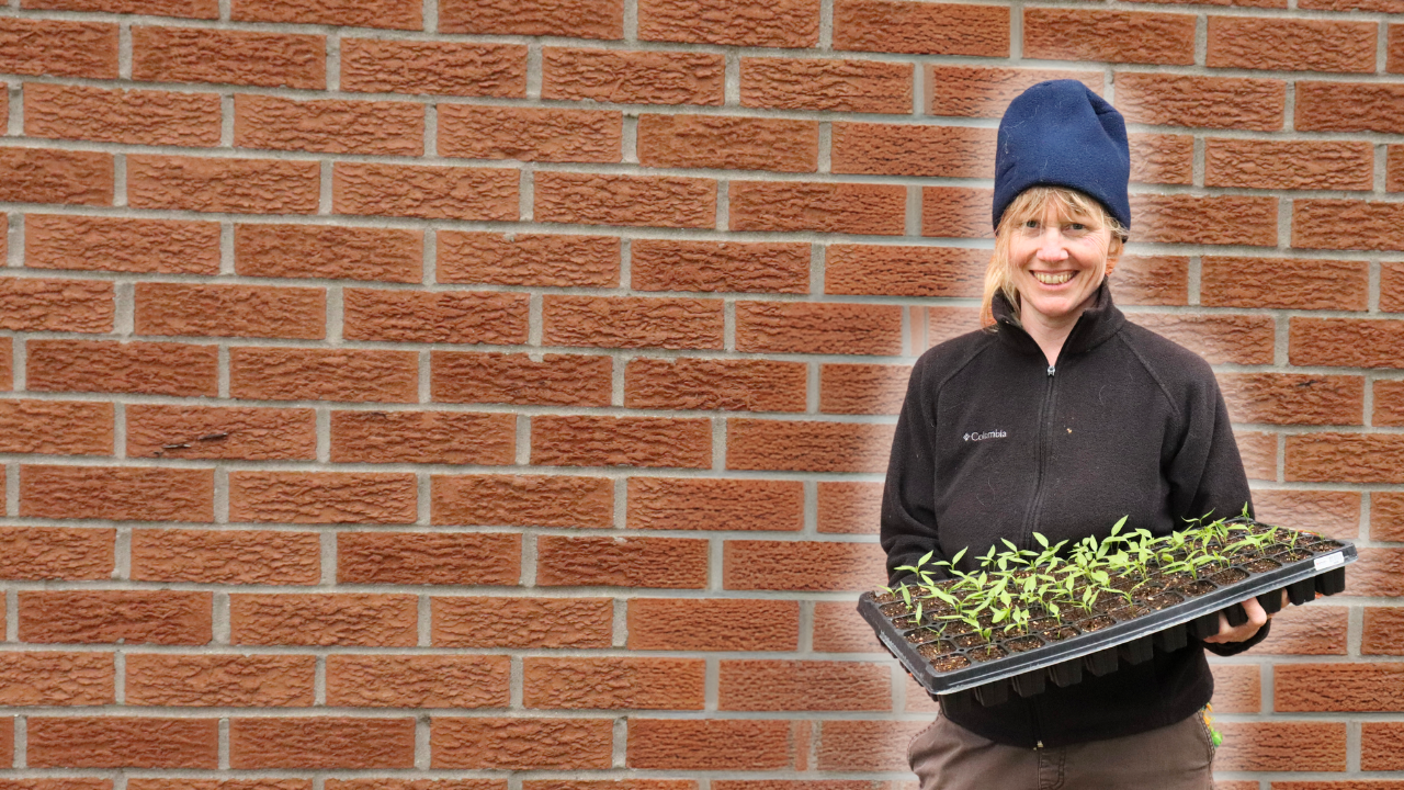 Growing Tips | Nature & Nurture Seeds