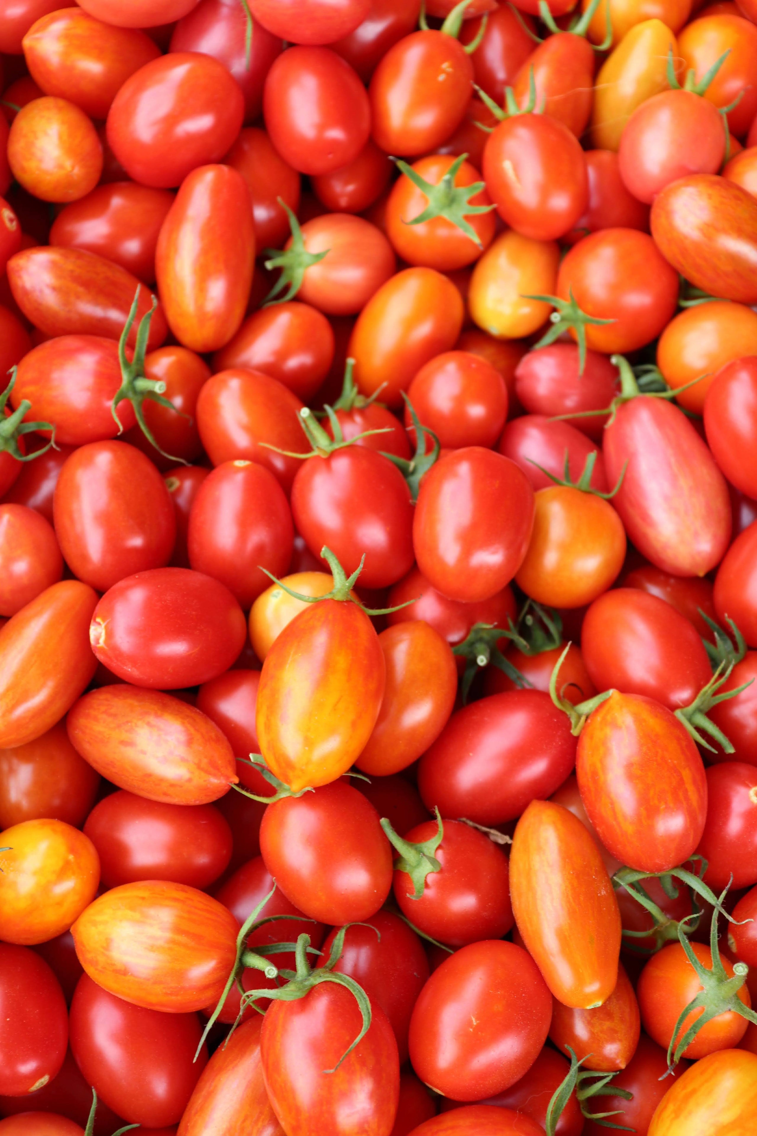 Regionally Adapted Seed: The Secret of Great Gardening | Nature ...