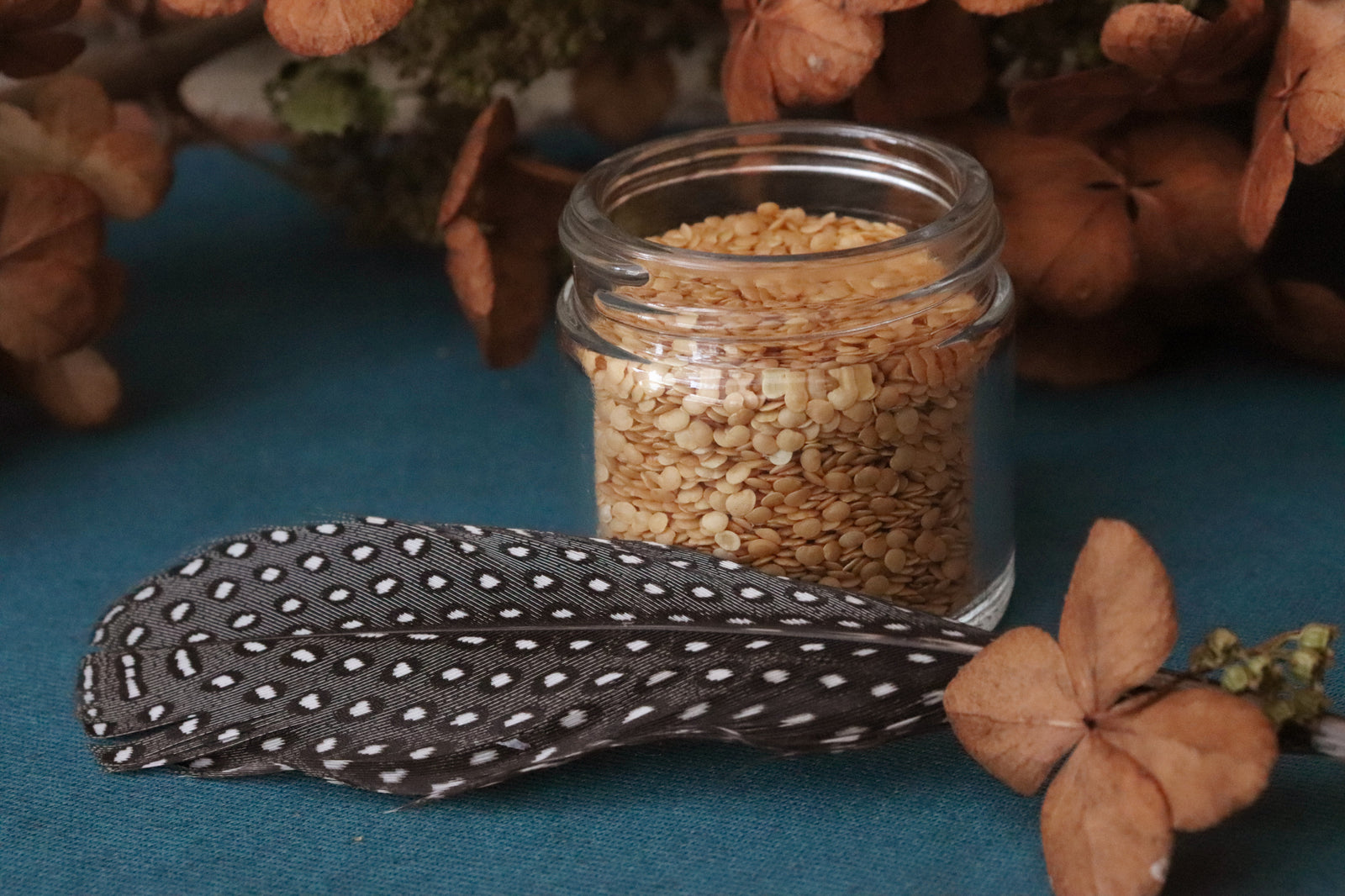 About Us | Nature & Nurture Seeds