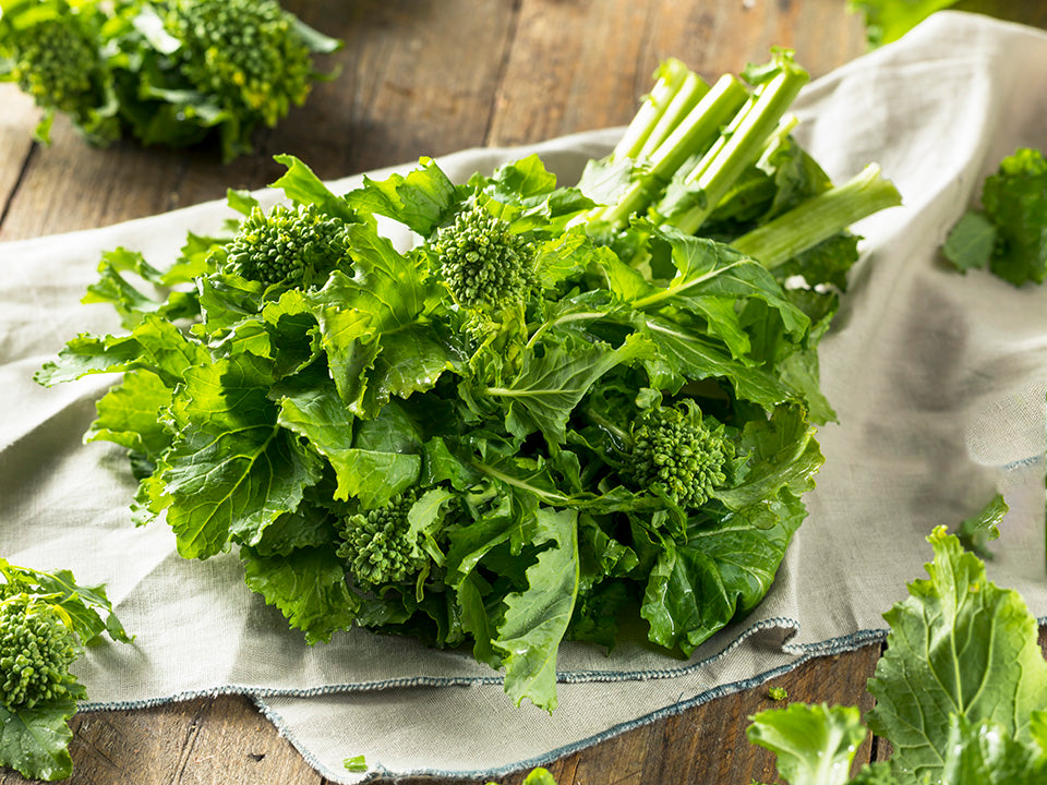 Italian Quick Broccoli Raab Seeds | Nature & Nurture Seeds