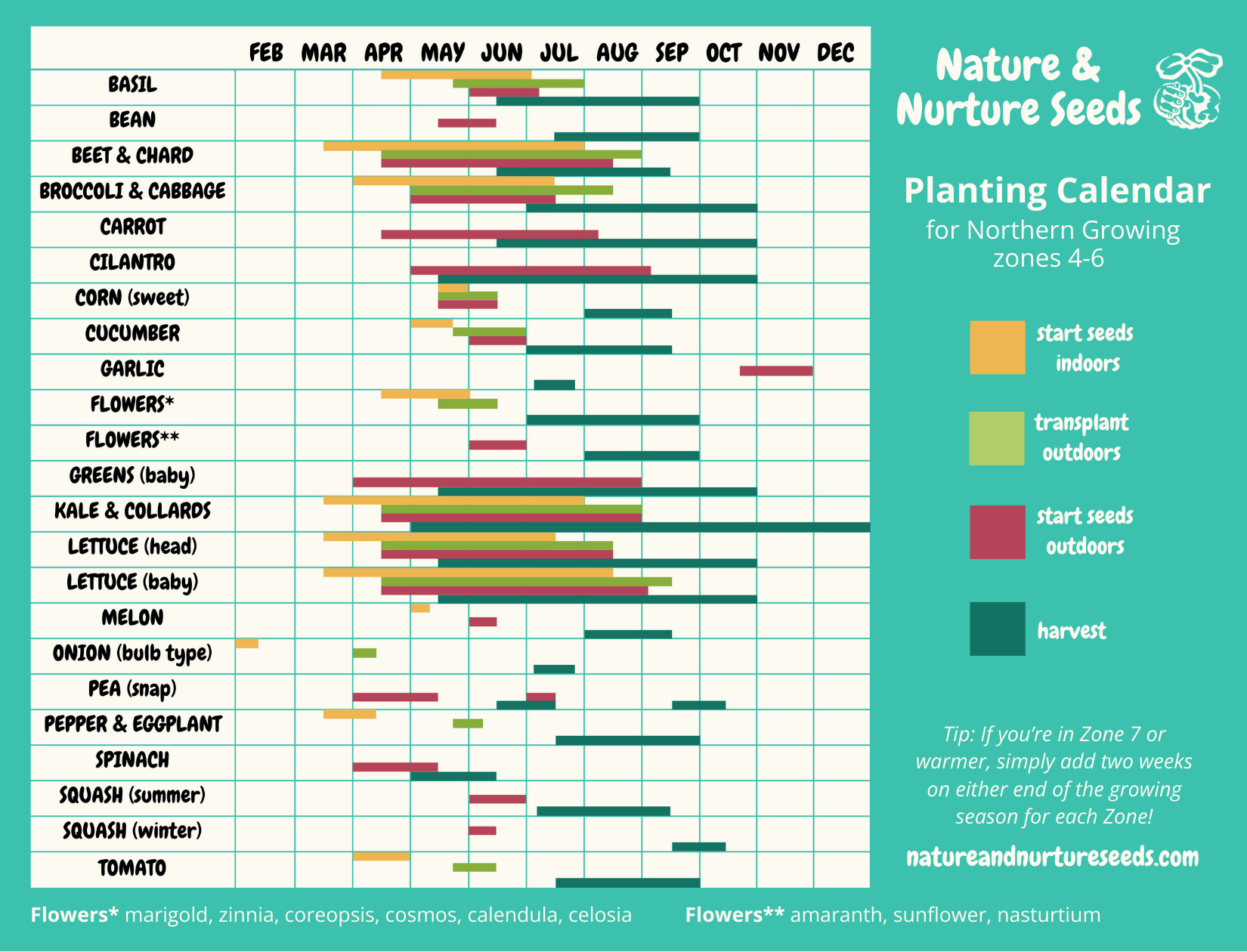 Growing Tips | Nature & Nurture Seeds