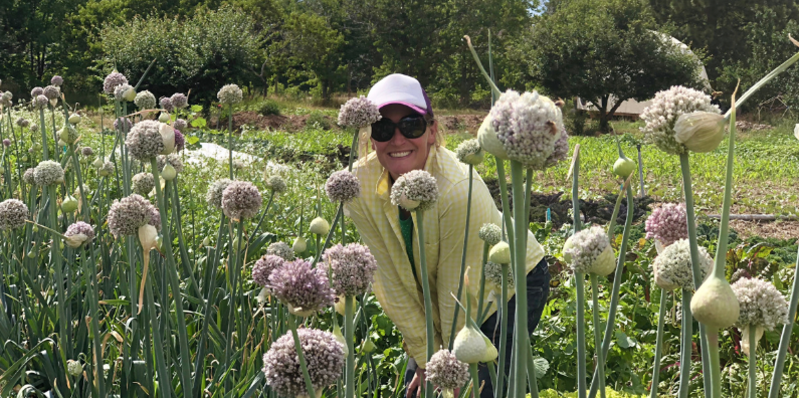 Regionally Adapted Seed: The Secret of Great Gardening | Nature ...