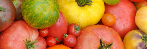 Nature & Nurture Seeds - Heirloom & Organic Vegetable Seeds