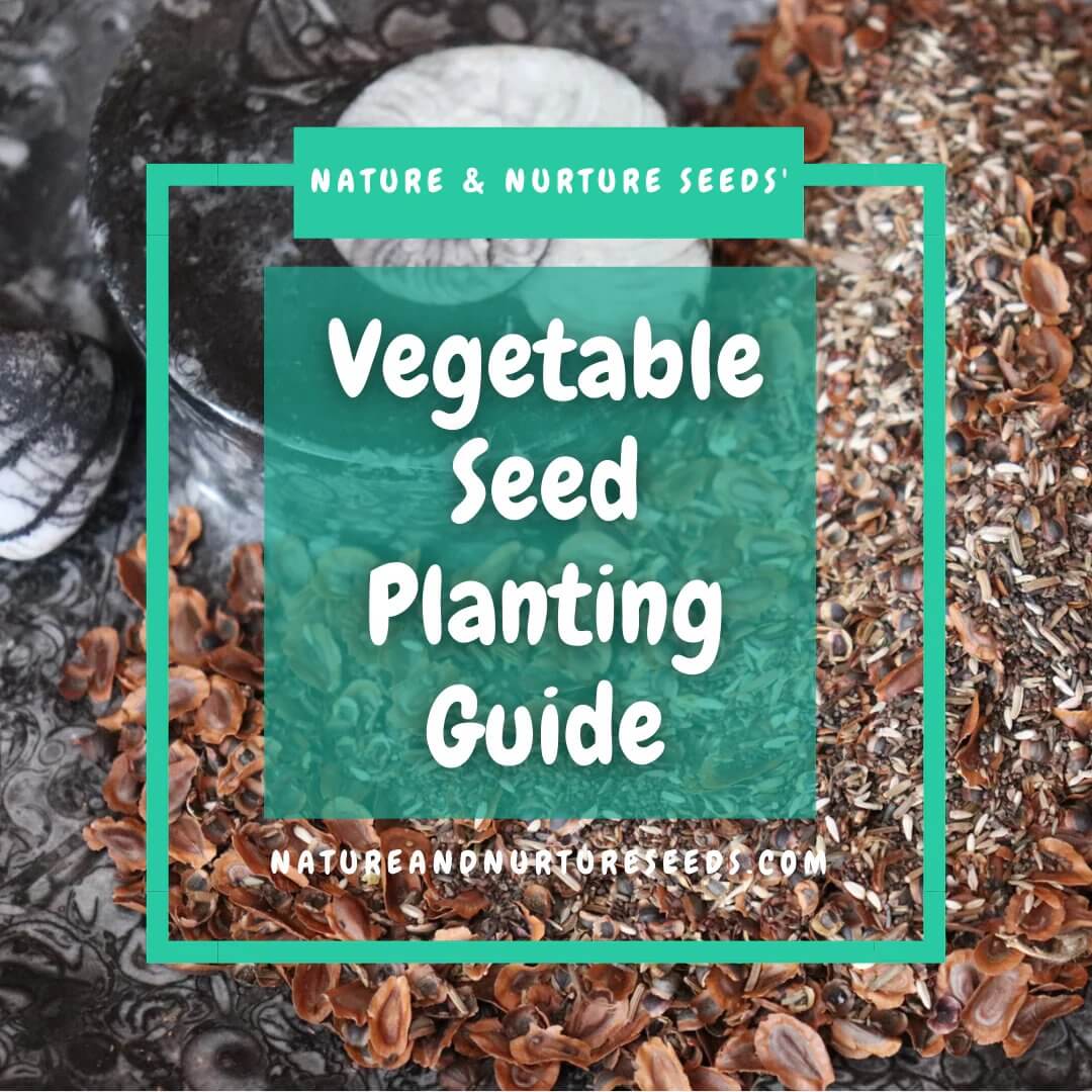 Growing Tips | Nature & Nurture Seeds