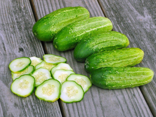 Chicago Pickling Cucumber Seeds | Nature & Nurture Seeds