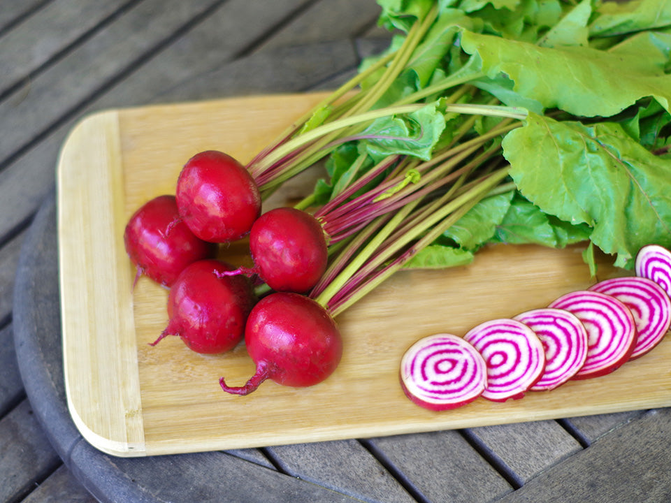 Beet Seeds - Heirloom & Organic | Nature & Nurture Seeds